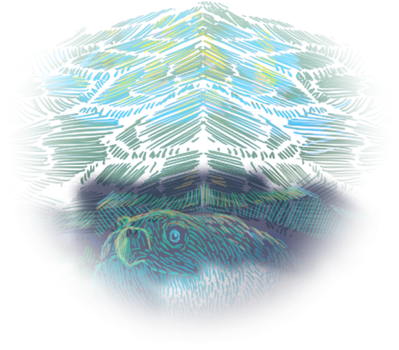 Onhwa' Lumina - Enchanted night walk into the heart of Wendat culture ...